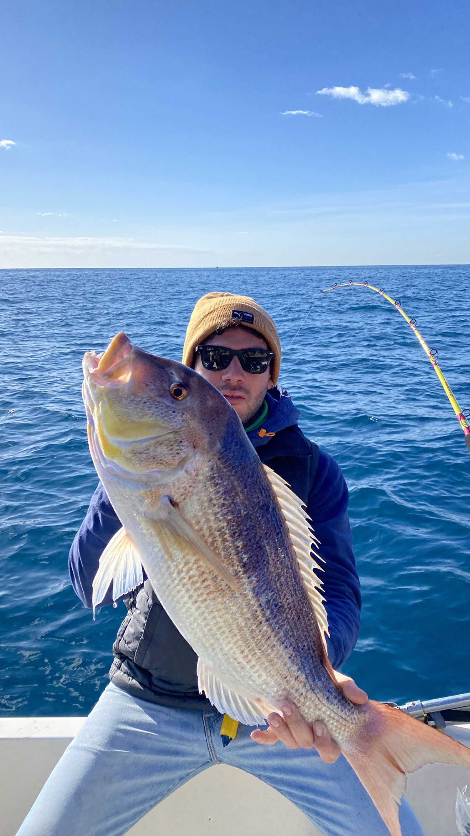 Fishing Experience – Stable Sea Dream